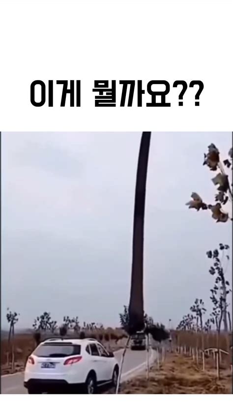 오 ㅋㅋㅋ 신박한데 ㅋㅋㅋ 세차 자동차 고수 웃긴짤 웃긴영상 유머스타그램 류영석