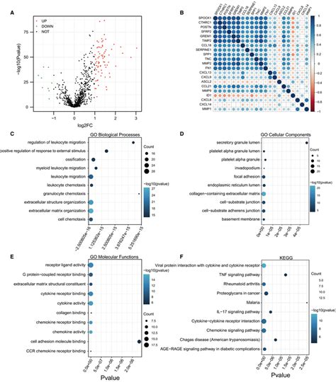 Correlations Of Emt‐related Genes And Functional Annotation Of