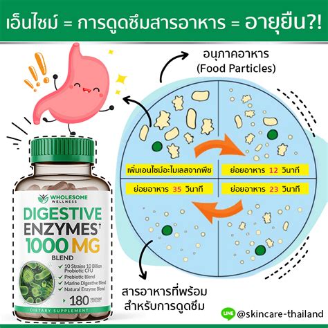 Wholesome Wellness Digestive Enzymes 1000 Mg 180 แคปซูล Skincare
