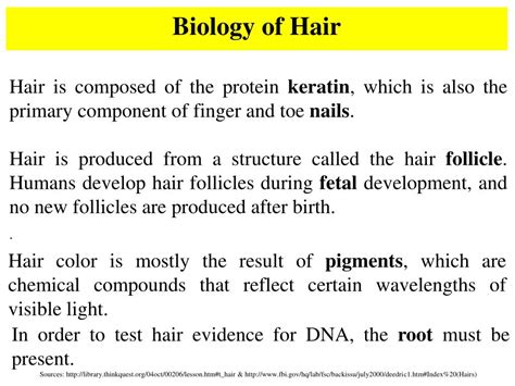 Ppt Forensic Science Powerpoint Presentation Free Download Id5822230