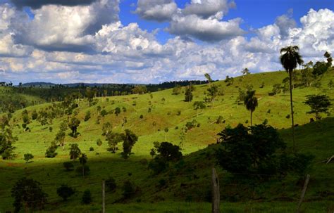 Cuál Es El Clima De Paraguay Sooluciona