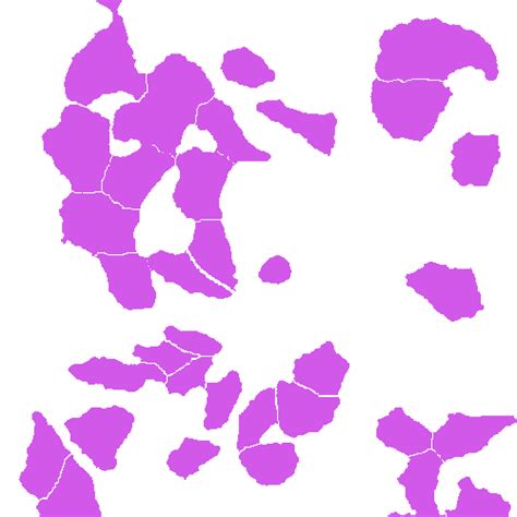 Annotated Quantitative Phase Microscopy Cell Dataset Ninja