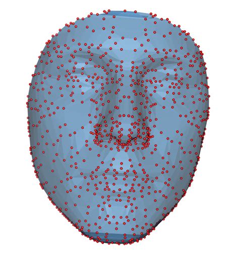 R Decimate 3D Surface Mesh Evenly And Preserving Bilaterally Symmetry