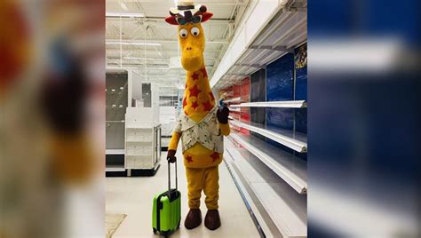 Top 25 Toys Are Us Giraffe Update