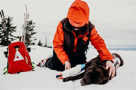 How To Use Sam Splints Sam Medical Store