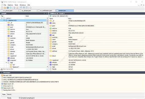 Mitec Json Viewer Portable