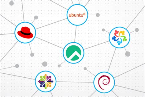 Top Enterprise Linux Distributions Openlogic By Perforce