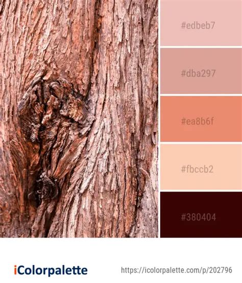 Color Palette Ideas From Tree Trunk Woody Plant Image Icolorpalette