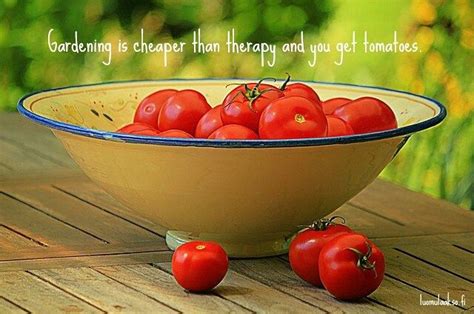 Cheaper Than Therapy And You Get Tomatoes Artofit