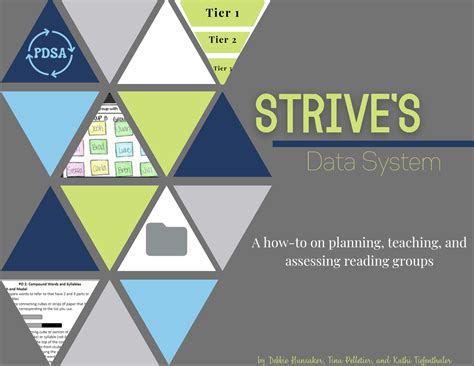 strive s data system strive tlc