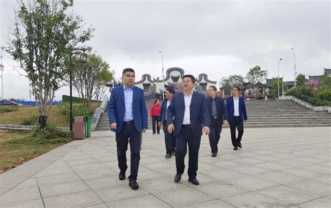 全国人大代表、蒲源控股集团有限公司董事长到武宣考察澎湃号·政务澎湃新闻 The Paper