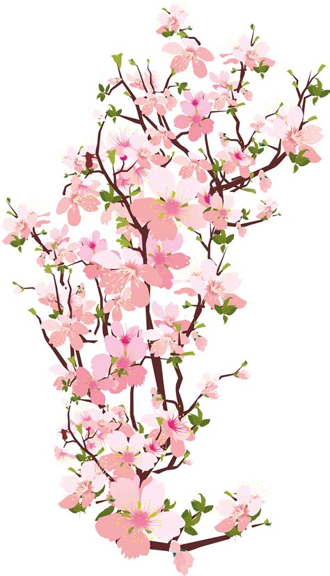 Sakura Tree Png Free Logo Image Hot Sex Picture