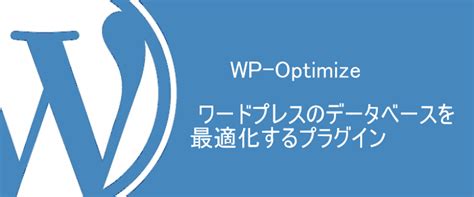 ワードプレスのウィジェットにあるアクセシビリティモードとは？