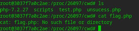 Wmctf2020 Make Php Great Again非预期解原因 Csdn博客