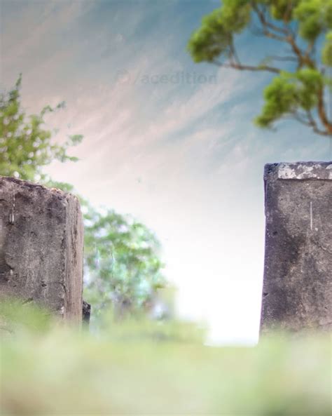 Blur Photo Background With Trees And Sky