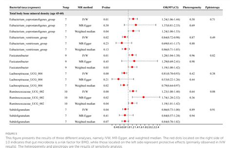 Figure 5 From The Causal Relationship Between Gut Microbiota And Bone Mineral Density A