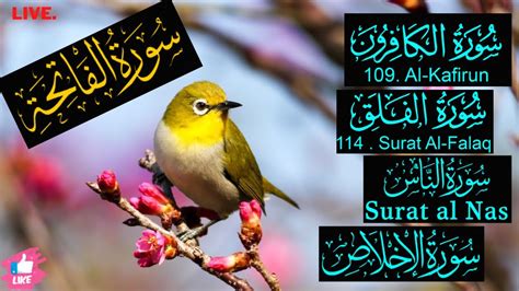 Surah Al Fatiha4 Qul Beautiful Quran Recitation Relaxing