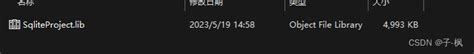 Win11下基于vs2022编译sqlite3源码sqlite下载 Win11 Csdn博客
