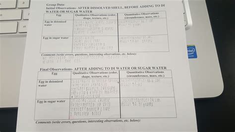 Monicas Biology Blog Egg Diffusion Lab