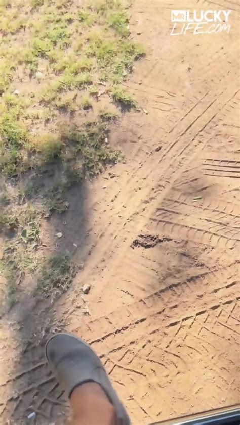 Tru Kait This Picnic Is Paradise