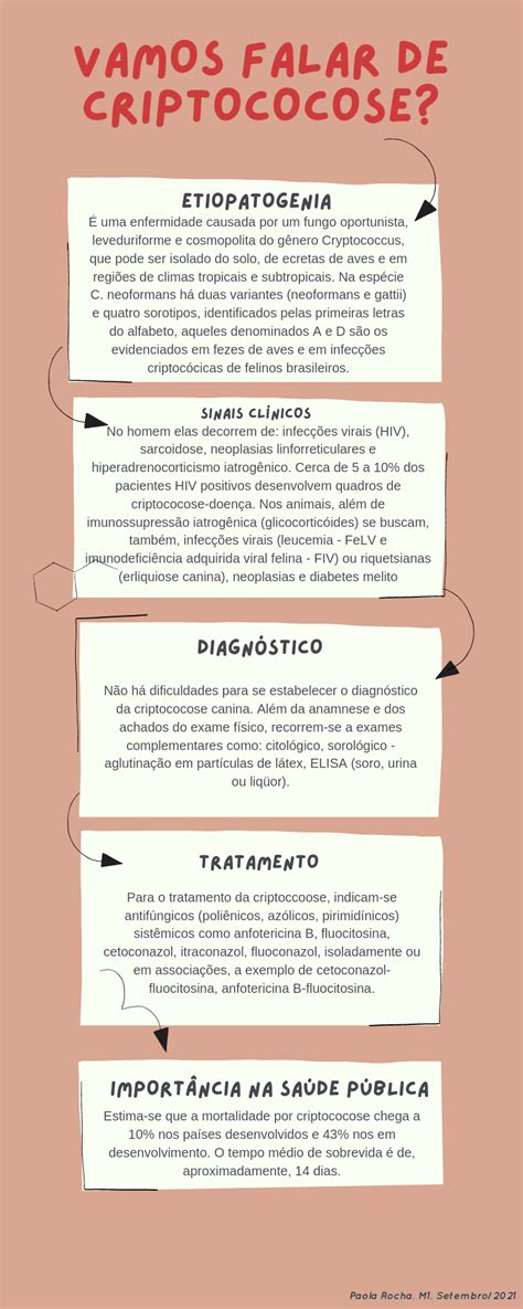 Infográfico Sobre Criptococose Doenças Infecciosas
