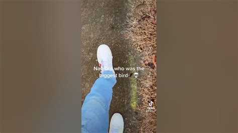 Who Wasfyp Viral Biggestbird Youtube