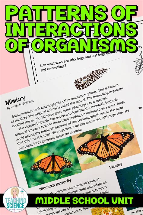 Ecosystem Interactions Between Organisms Artofit
