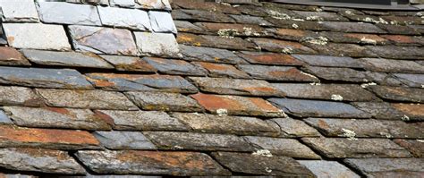 Introduction To Odoo Components Dev Community