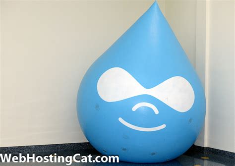 Best Drupal Hosting