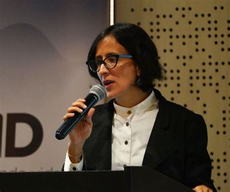 Gobierno Radicó Mensaje De Urgencia Para Debatir Proyecto Para Prohibir