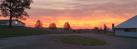 Differences Between A Reputable Bernedoodle Or Cavapoo Breeder And A