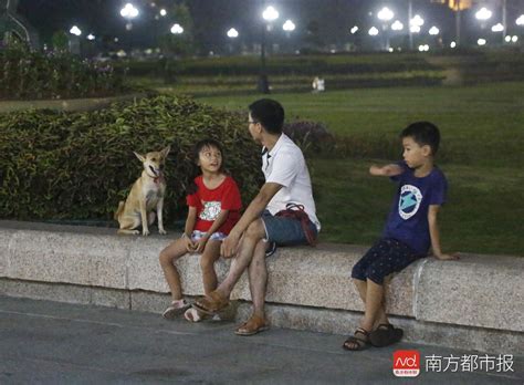 遛狗不拴狗链撞人致十级伤残，狗主人赔10万何玉帅