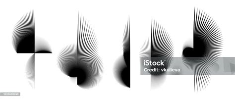 추상적인 검은색 곡선 뾰족한 요소가 설정되었습니다 방사형 나선형 스포크 개체 컬렉션입니다 얇은 가시 반원 모양과 포스터 콜라주
