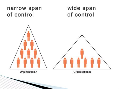 Organising Principles Of Management Ppt