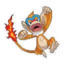 Monferno Pokémon Pokémon Conquest veekun