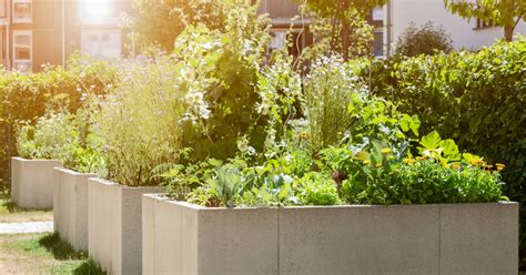 Woman Creates Gorgeous Garden Beds Out Of Cinderblocks And Stucco