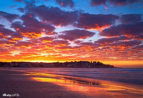 Bondi Beach Loree Toney
