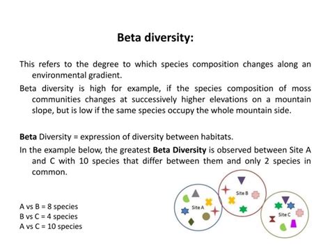 9 Captivating Facts About Beta Diversity