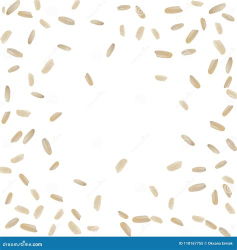 Realistic Vector Rice Pattern Stock Vector Illustration Of Natural