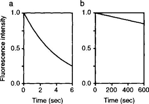 Figure 4 From Use Of A New Fluorogenic Phosphatase Substrate In
