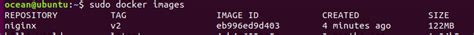 Docker 使用nginx容器运行html静态网页以及制作镜像docker Nginx Html Csdn博客