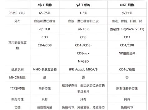 一文读懂免疫治疗的新宠儿——nkt细胞 癌症123