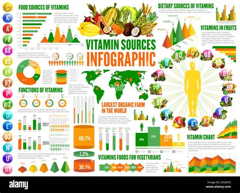 Vitamins Function Chart Vitamin Chart Healthy Food
