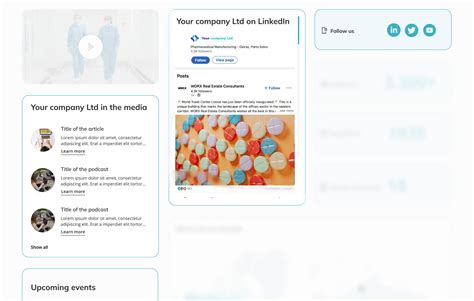 什么是 Api（活性药物成分）？