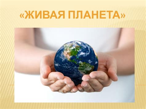 Презентация по окружающему миру в 1 классе на тему Живая планета