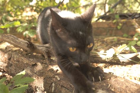 No Name Noname8055493 Twitter