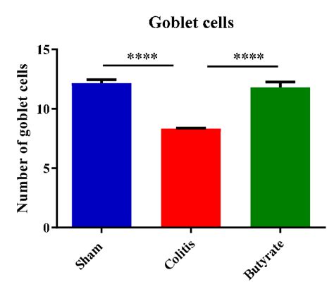 Number Of Goblet Cells In The Sham Colitis And Butyrate Groups Data