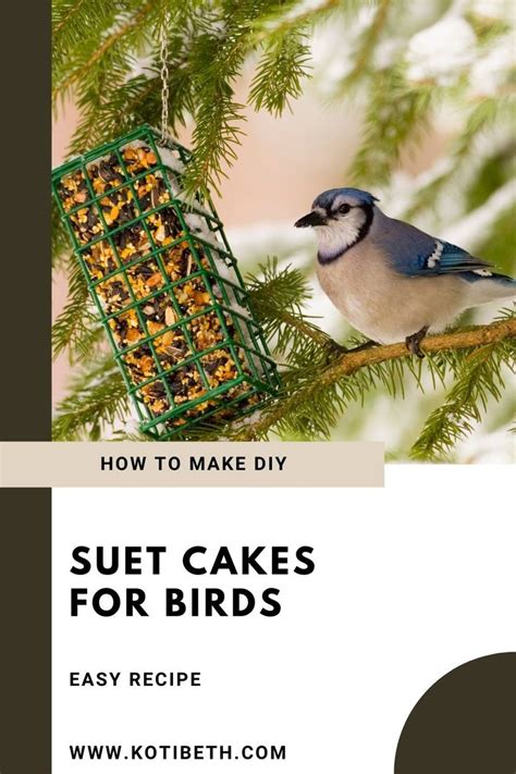 How To Make Suet For Birds Suet Cakes How To Make Diy Bird Suet