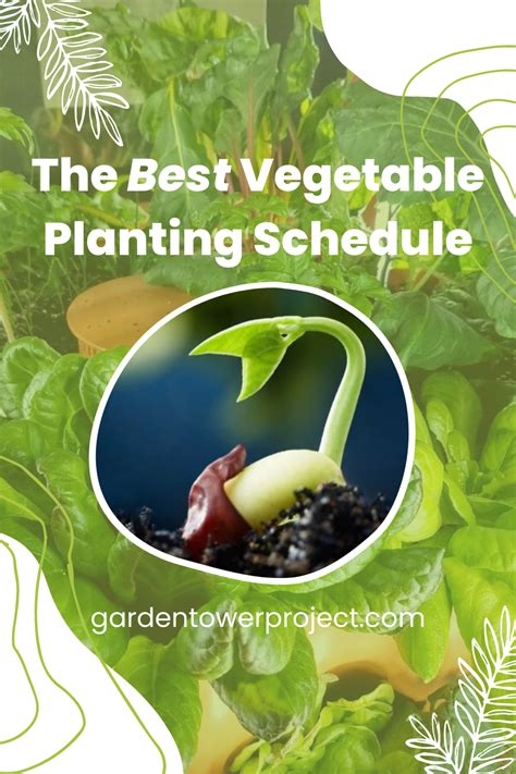 Were Almost Halfway Through May—is Your Garden Ready Yet Check Out