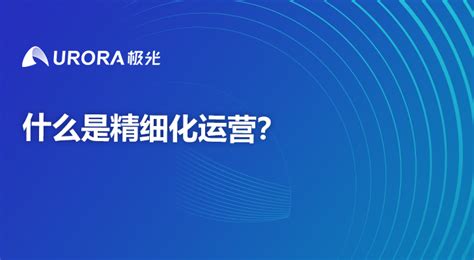 什么是精细化运营 精细化运营概念与原理